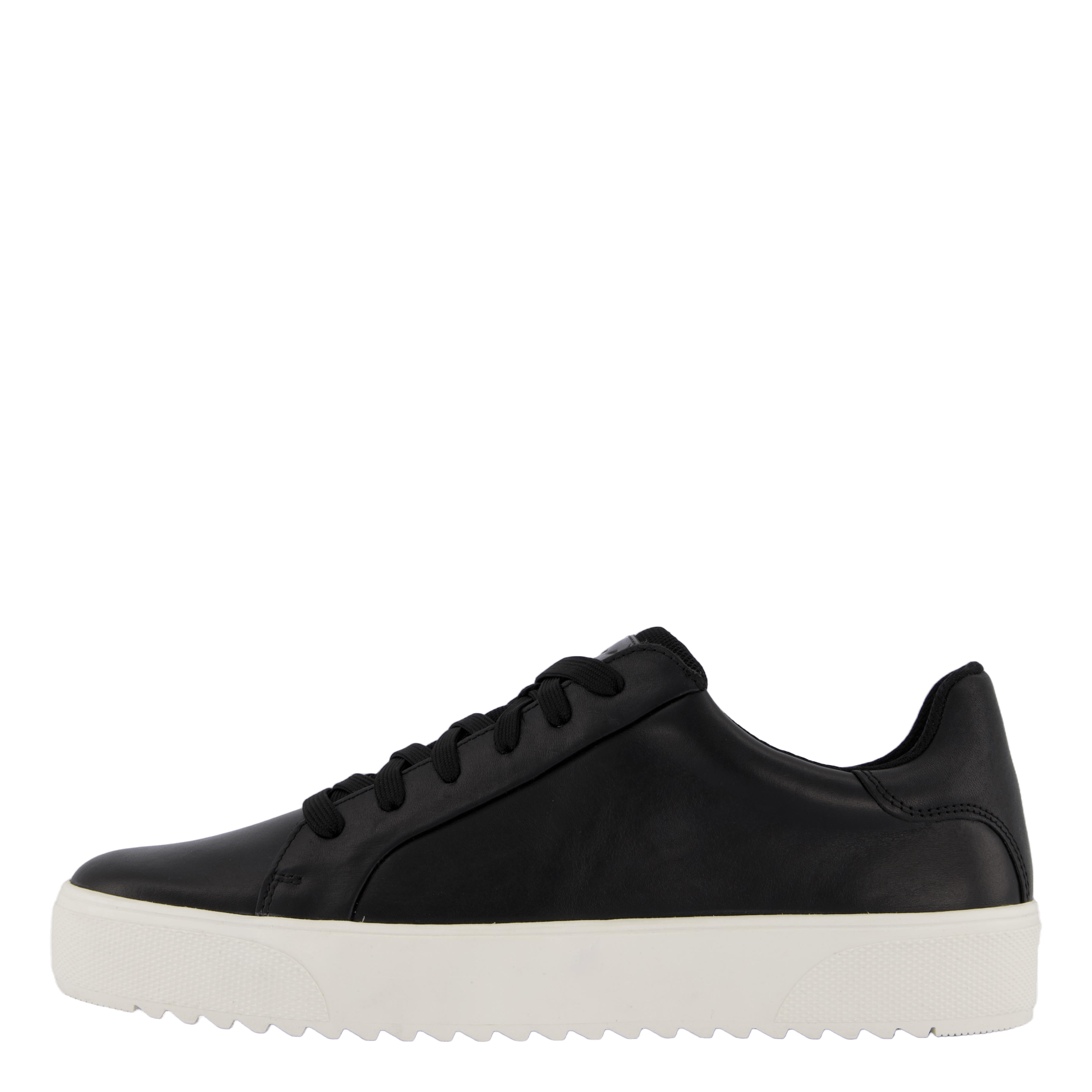 Rex Neapel – Sportamore.com